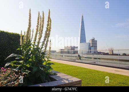 General view of the rooftop garden at Nomura, in the City of London ...