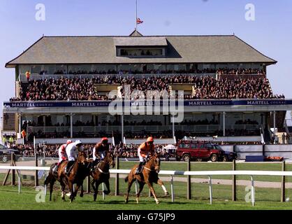The Queen Mother stand at Aintree racecourse in Liverpool home of the ...