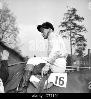 Michael Scudamore, Jockey Stock Photo - Alamy