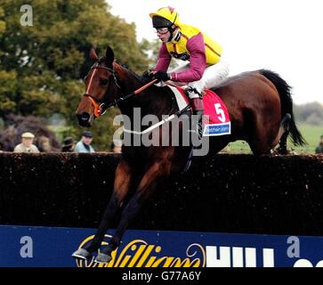 Fireball Macnamara with jockey Timmy Murphy finishes second behind ...