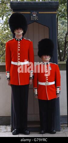 Irish Guardsman Martyn Walters (right) of the 1st Battalion Irish ...