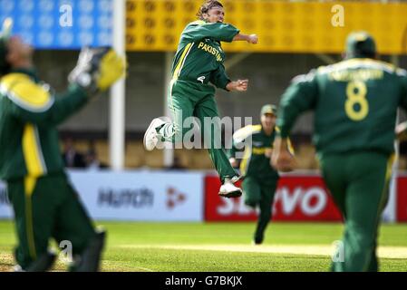 Pakistan fast Shoaib Akhtar celebrates after took the wicket of England ...