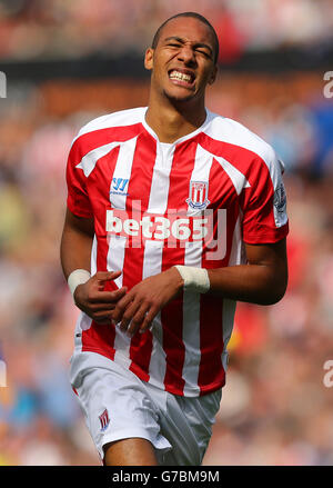 Stoke City's Steven Nzonzi during the Sky Bet Championship match at ...