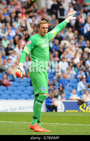 Brighton and Hove Albion goalkeeper David Button Stock Photo - Alamy