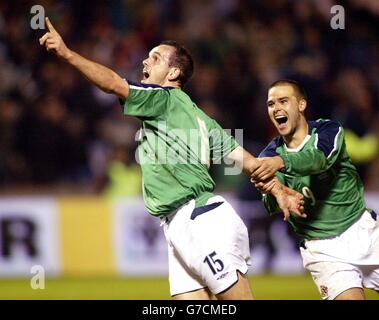 Northern Ireland's Stuart Elliott celebrates his goal during the World ...