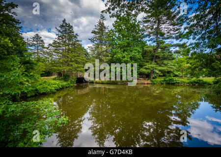 Pond at Elizabeth Park, in Hartford, Connecticut Stock Photo - Alamy