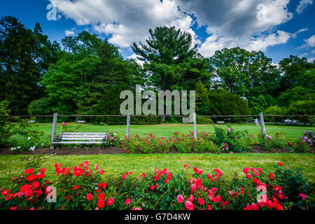 Rose gardens at Elizabeth Park, in Hartford, Connecticut Stock Photo ...