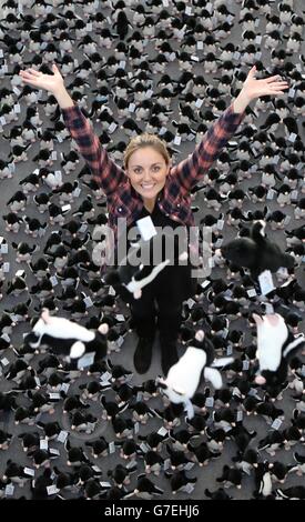 WWF Adopt a Penguin programme Stock Photo - Alamy