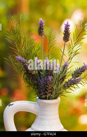 Lavender sprigs in a vase Stock Photo - Alamy