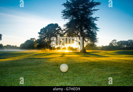 Golf course at dawn backlit by rising sun Stock Photo - Alamy