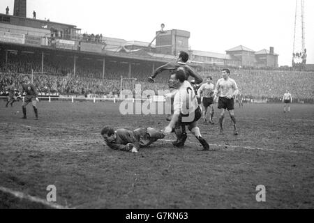 Liverpool goalkeeper Tommy Lawrence in action during the match against ...