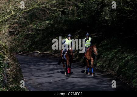 Horses from Paul Nicholls yard walk past the church in Ditcheat during ...