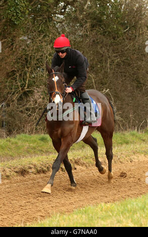 Horse Racing - Visit to Jessica Harrington Stable Visit - Commonstown ...