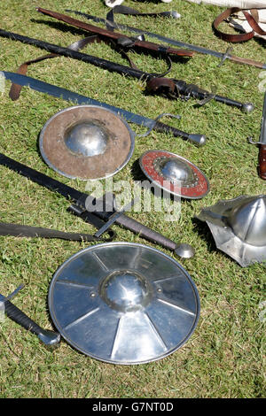 Ancient medieval weapons and arms, swords, rapiers, florets, rifle ...