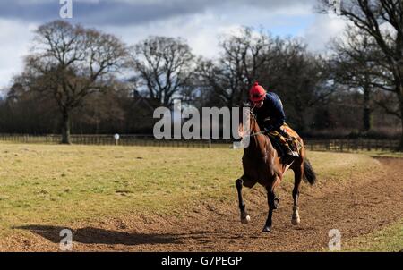 Horse Racing - Gary Moore Stable Visit - Cisswood Racing Stables Stock ...