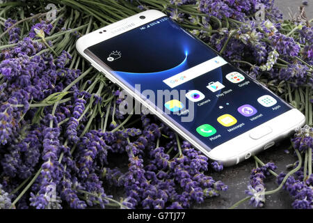 Samsung S7 EDGE on a lavender background Stock Photo - Alamy