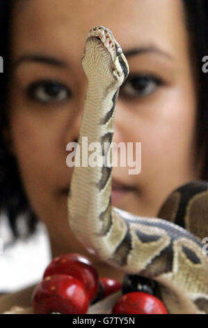 Fairtrade Fortnight - Edinburgh Zoo Stock Photo - Alamy