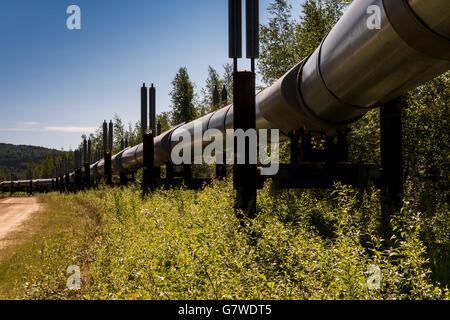 The Trans-Alaska Pipeline at the Pump Station 1 on Monday, June 2, 2025 ...