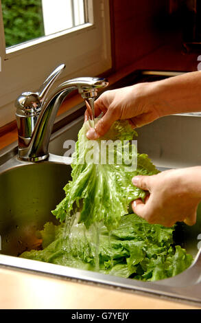 housewife washing vegetables in sink at home kitchen Stock Photo - Alamy