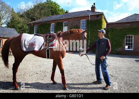Horse Racing - Oliver Sherwood Stables visit. s Al Shaqab Lockinge Day ...