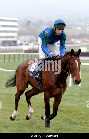 MICK FITZGERALD JOCKEY CHELTENHAM RACECOURSE CHELTENHAM ENGLAND 15 ...