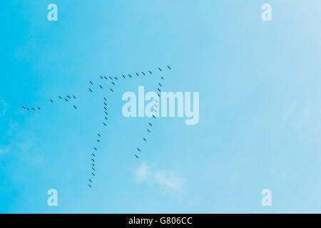 A flock of geese flies with a blue spring sky Stock Photo - Alamy