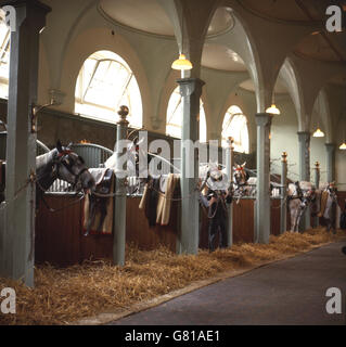Royal Mews Buckingham Palace. Stable block checking the harnesses; a ...