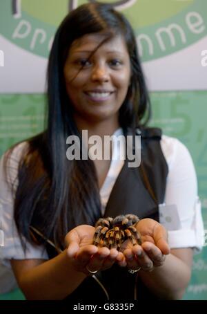 s Friendly Spider Programme. s Friendly Spider Programme at London Zoo ...