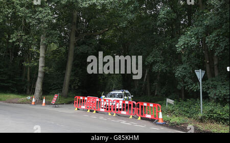 Oulton Park plane crash Stock Photo - Alamy