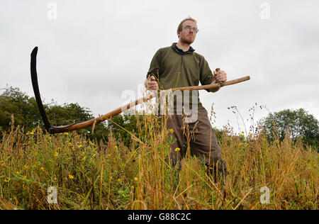 Roy McGhie uses a traditional scythe to harvest the waist-high crop of ...