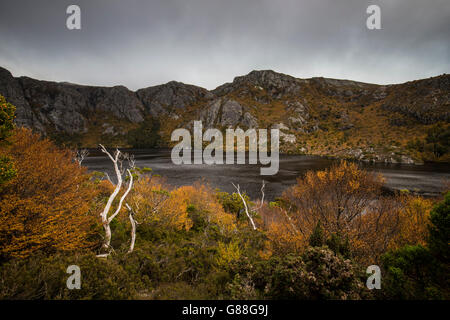 Tea tree lake Stock Photo - Alamy