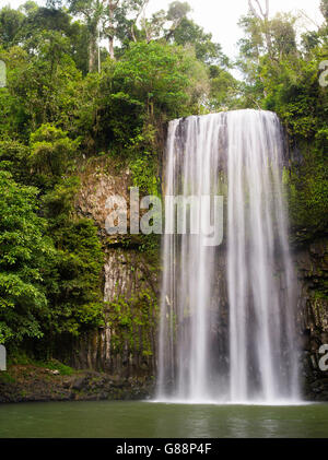 The famous Millaa Millaa waterfall in the Atherton Tablelands area of ...