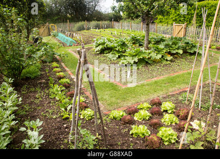 Vegetable plot at Potager Garden, Constantine, Cornwall, England, UK ...