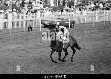 Roberto, Lester Piggott up Stock Photo - Alamy