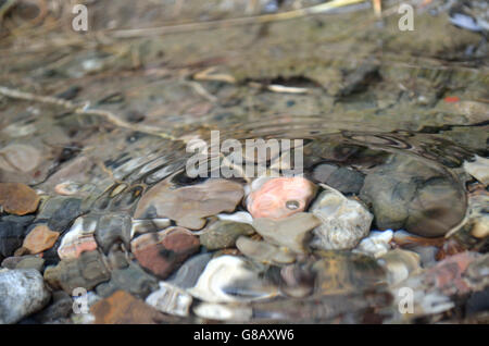 rain drop creates small ripple on clear puddle Stock Photo - Alamy