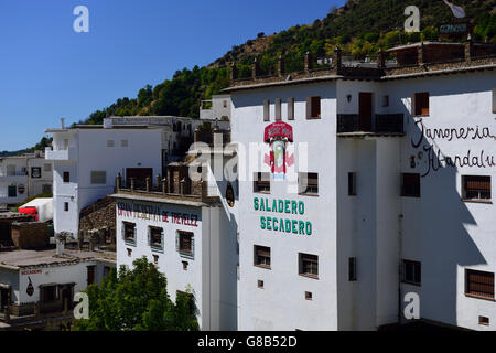 producer of ham, Trevelez, La Alpujarra, Andalusia, Spain Stock Photo ...