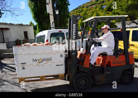 ham, producing of ham, Trevelez, La Alpujarra, Andalusia, Spain Stock ...