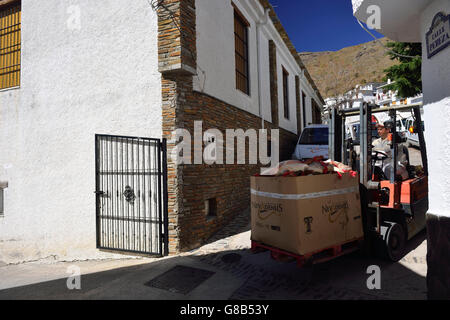 ham, producing of ham, Trevelez, La Alpujarra, Andalusia, Spain Stock ...