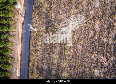 Aerial view of electrical tower and orange trees Stock Photo - Alamy