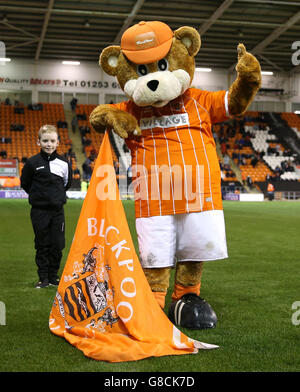 Blackpool mascot Bloomfield Bear Stock Photo - Alamy