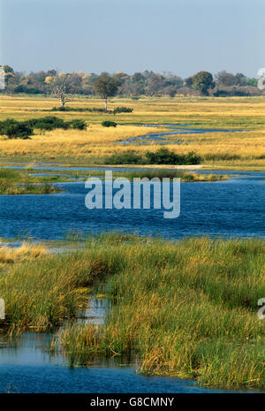 Bushveld on Kwando River Banks, Namibia Stock Photo - Alamy