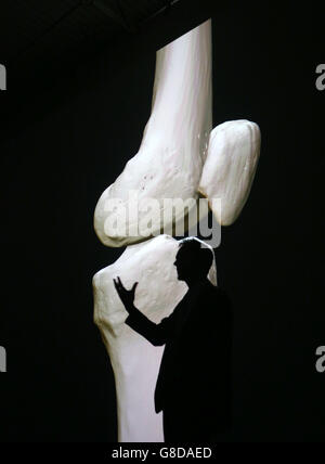 s Digital Design Studio of the 3D Definitive Human project, which will ...