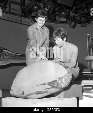 150 million year old fossilised footprint (ichnite) of theropod ...