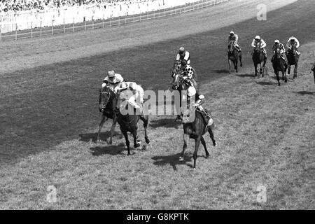 Lester Piggott on Circus Plume (no.2) winning today's Sir Charles Clore ...