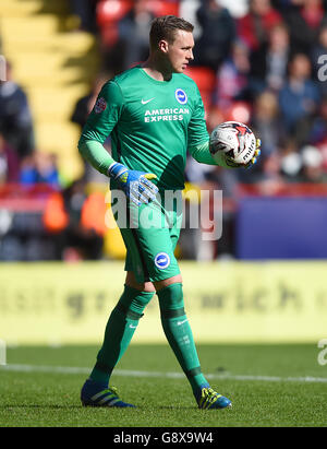 Brighton and Hove Albion goalkeeper David Button Stock Photo - Alamy