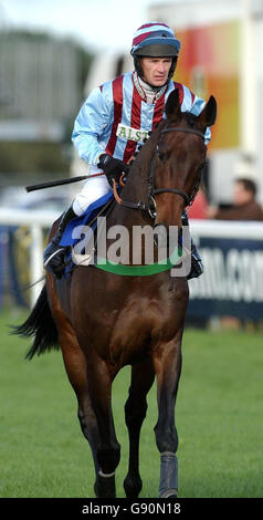 William Hill Haldon Gold Cup Chase. Henrietta Knight the trainer of ...