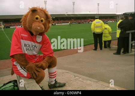 Crewe Alexandra mascot Gresty the Lion high fives a young fan in the ...