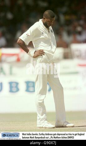 West Indies bowler Curtly Ambrose celebrates taking the wicket of ...