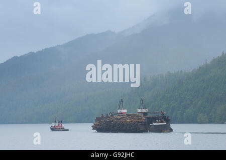 Tug boat with barge loaded with logs, Inside Passage, British Columbia ...