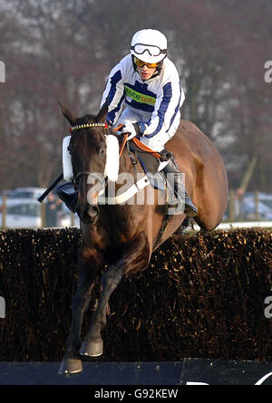 Ebony Light and jockey Stephen Craine (L) put in a great leap to move ...